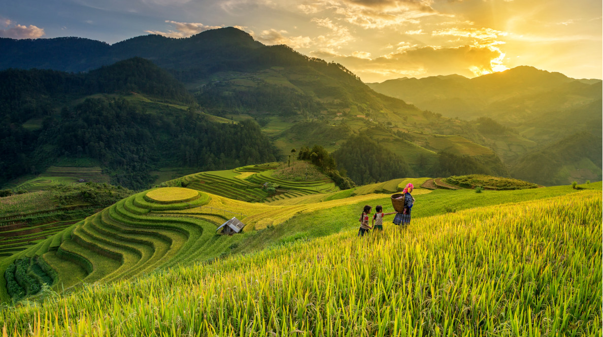 Seoul Travel & Beyond: Best Time to Visit South Korea for All Four ...